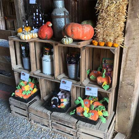 Wayside Farm Fun – Corn Maze & Pumpkin Patch in Berryville, Virginia