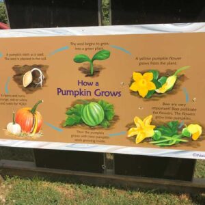 Field Trips – Wayside Farm Fun