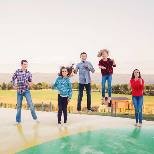 Wayside Farm Fun – Corn Maze & Pumpkin Patch in Berryville, Virginia