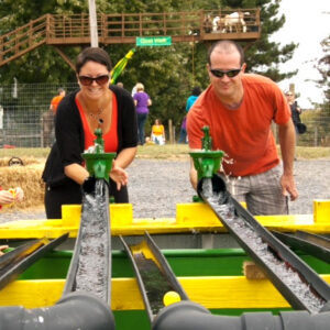 Parties & Events – Wayside Farm Fun